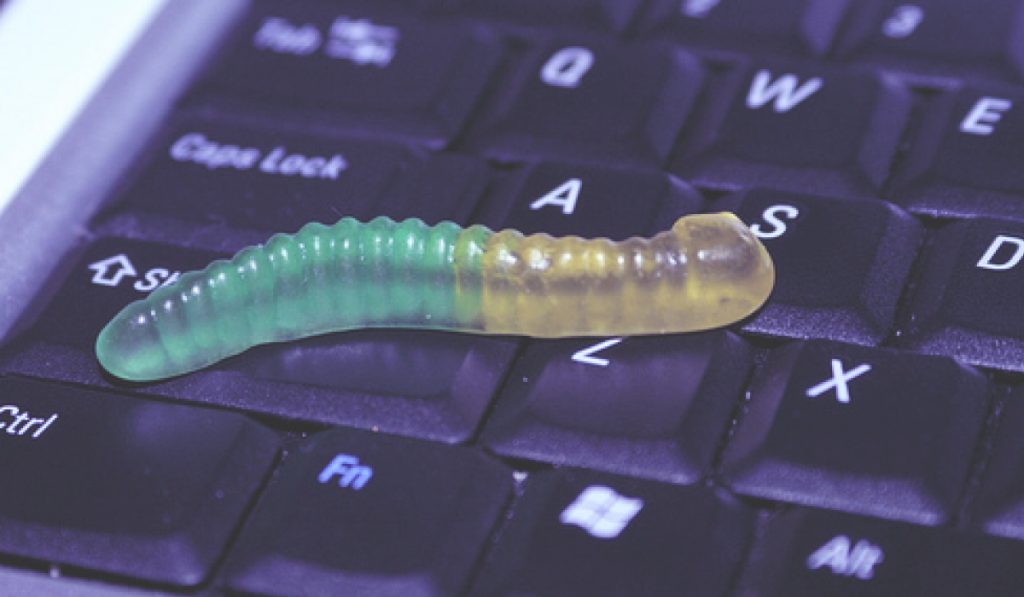 What is worm? – PSafe Blog